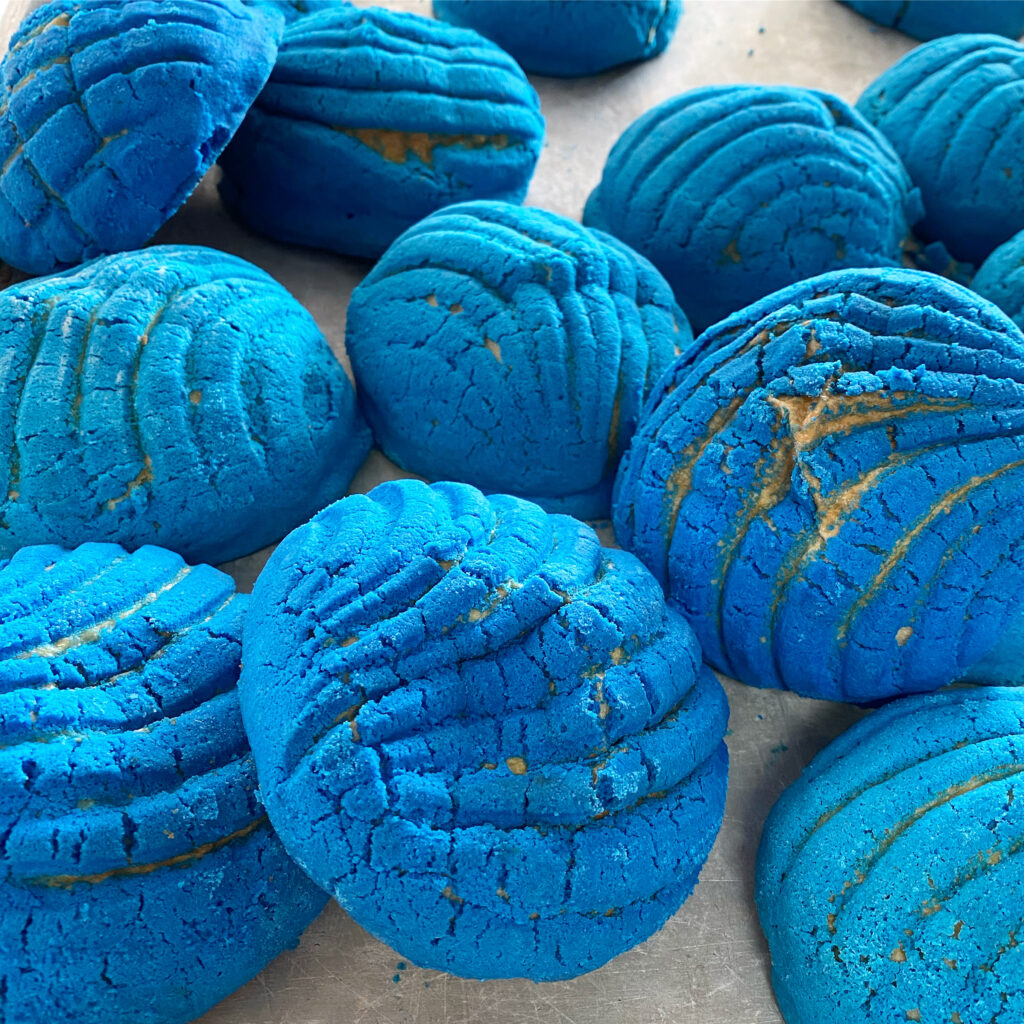 Dodger Conchas (15) – El Pavo Bakery